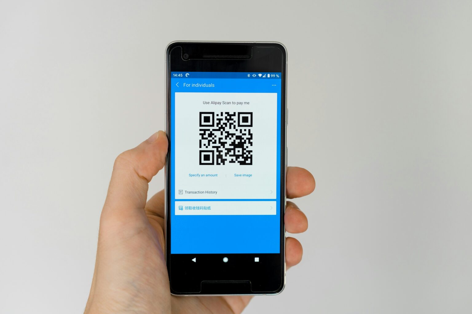 Using Paymentwall online payment service - full guide - Cryptiqo